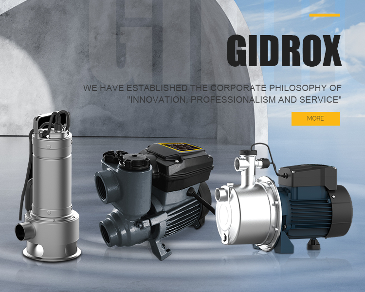 Peripheral Pump, Jet Pump, Centrifugal Pump, Domestic Lifting Station ...